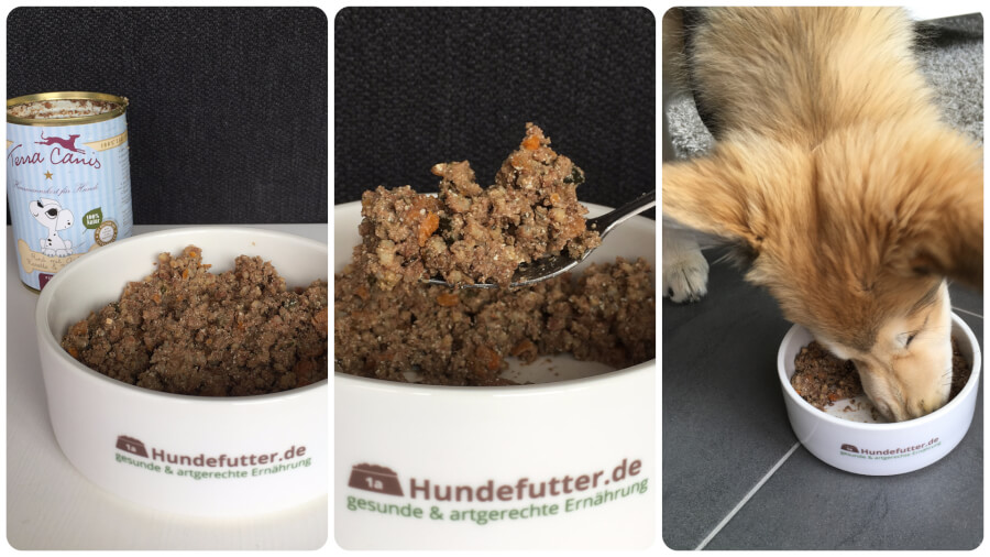 Terra Canis Hundefutter Test | Erfahrungen & Bewertung