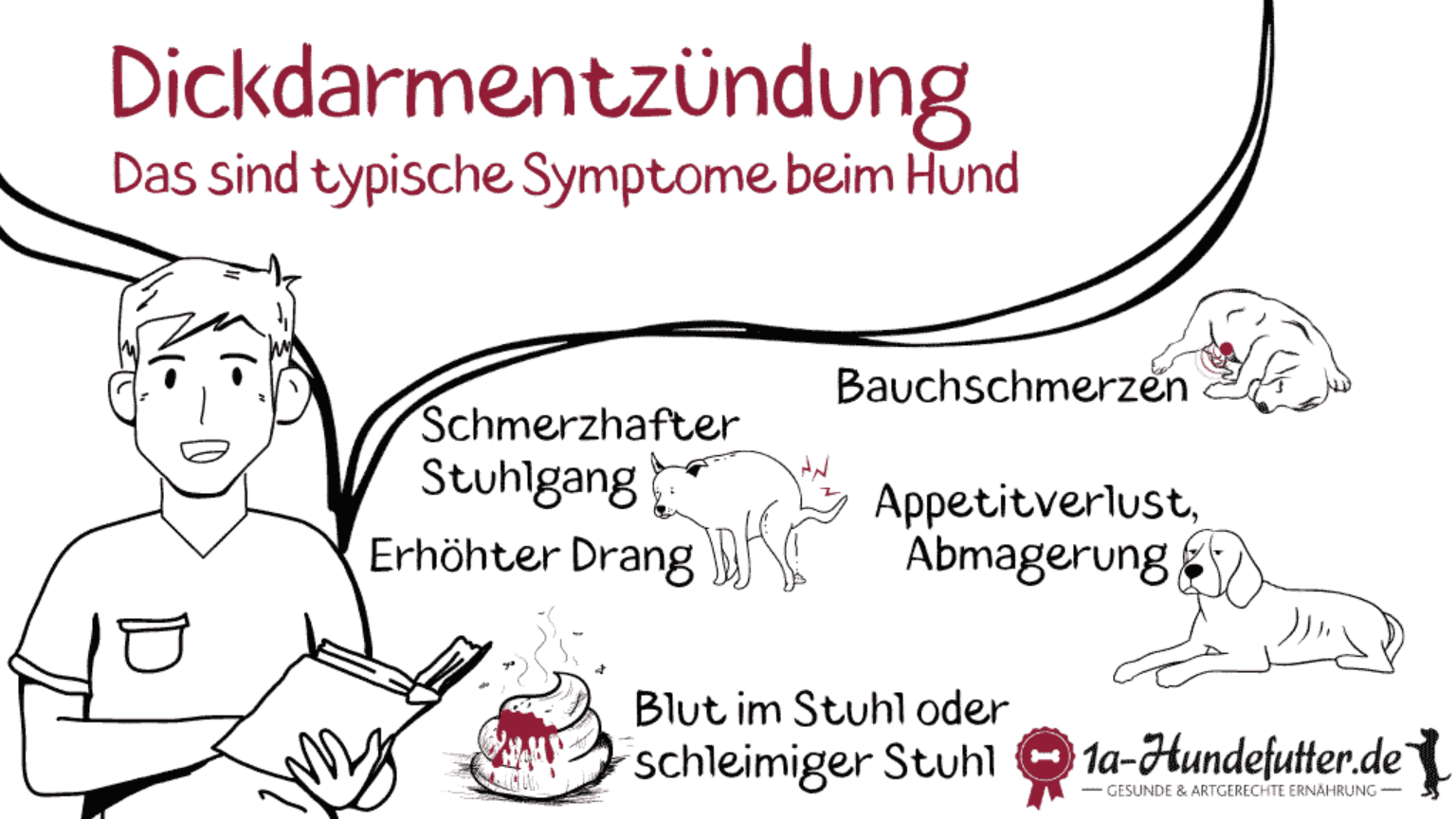 Dickdarmentzündung beim Hund | Richtig füttern bei Kolitis