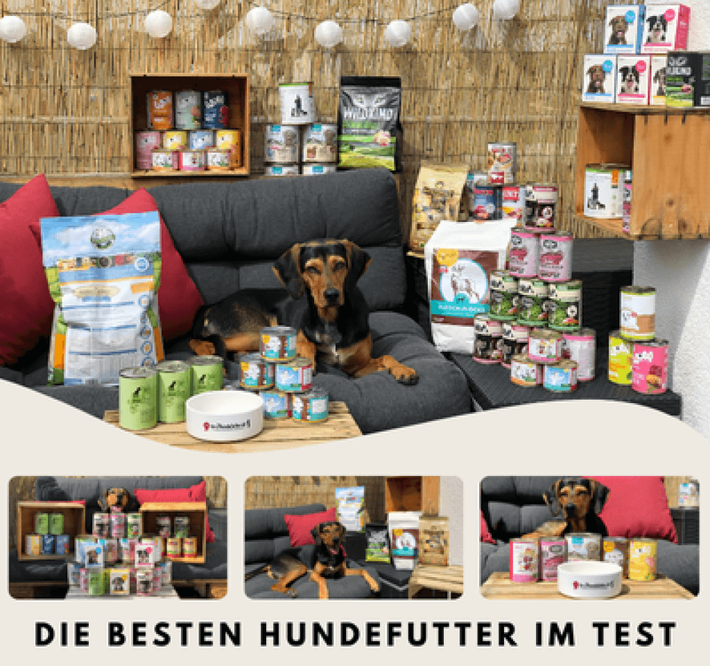 Hundefutter Test 2023 | Vergleich der 52 besten Marken