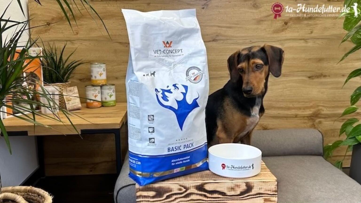 Vet-Concept Hundefutter Test: unsere Erfahrungen 2025