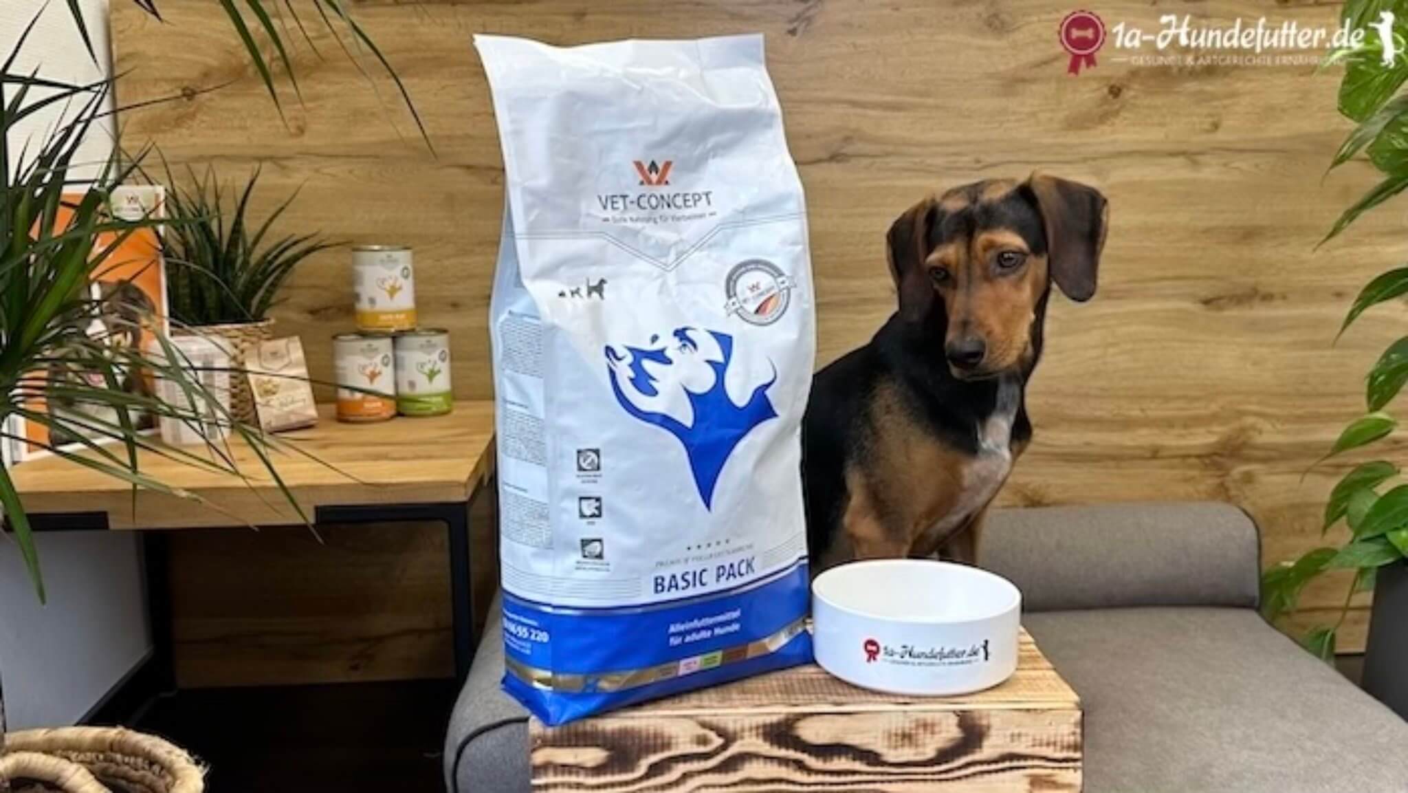 Vet-Concept Hundefutter Test: unsere Erfahrungen 2025