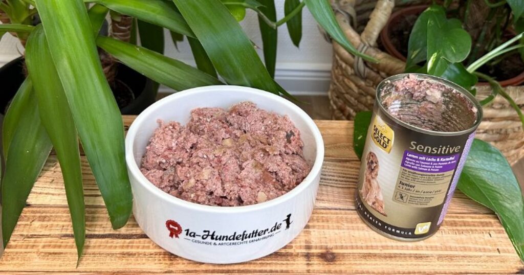 Select Gold im Hundefutter Test | Erfahrungen & Bewertung