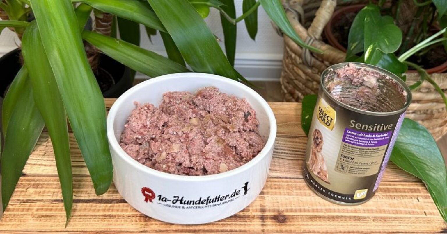 Select Gold im Hundefutter Test | Erfahrungen & Bewertung