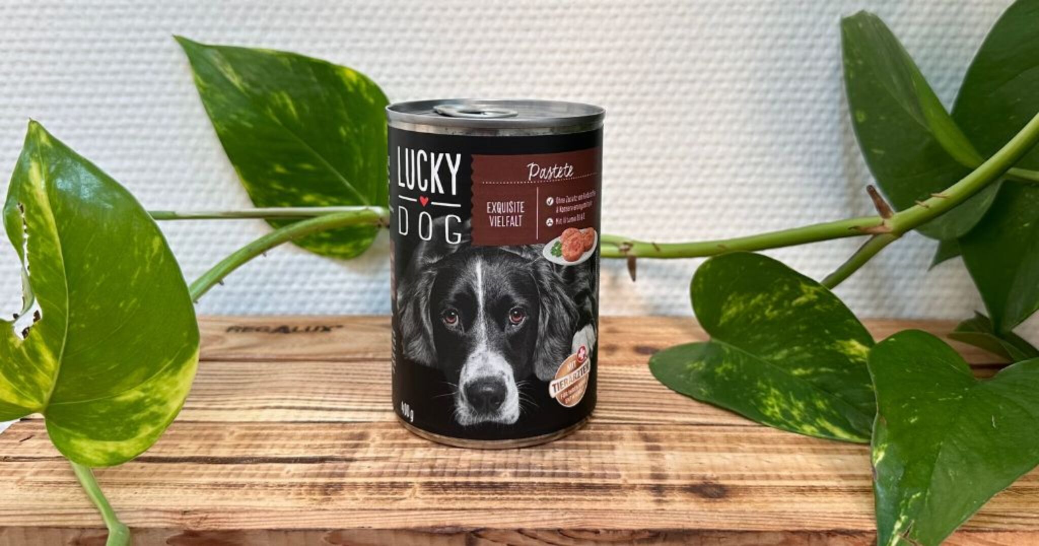 Penny Hundefutter Test: wie gut ist Lucky Dog?