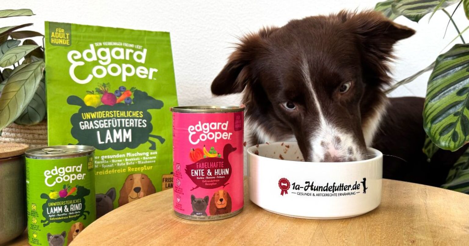 Edgard & Cooper Hundefutter Test: Erfahrungen & Bewertung 2026