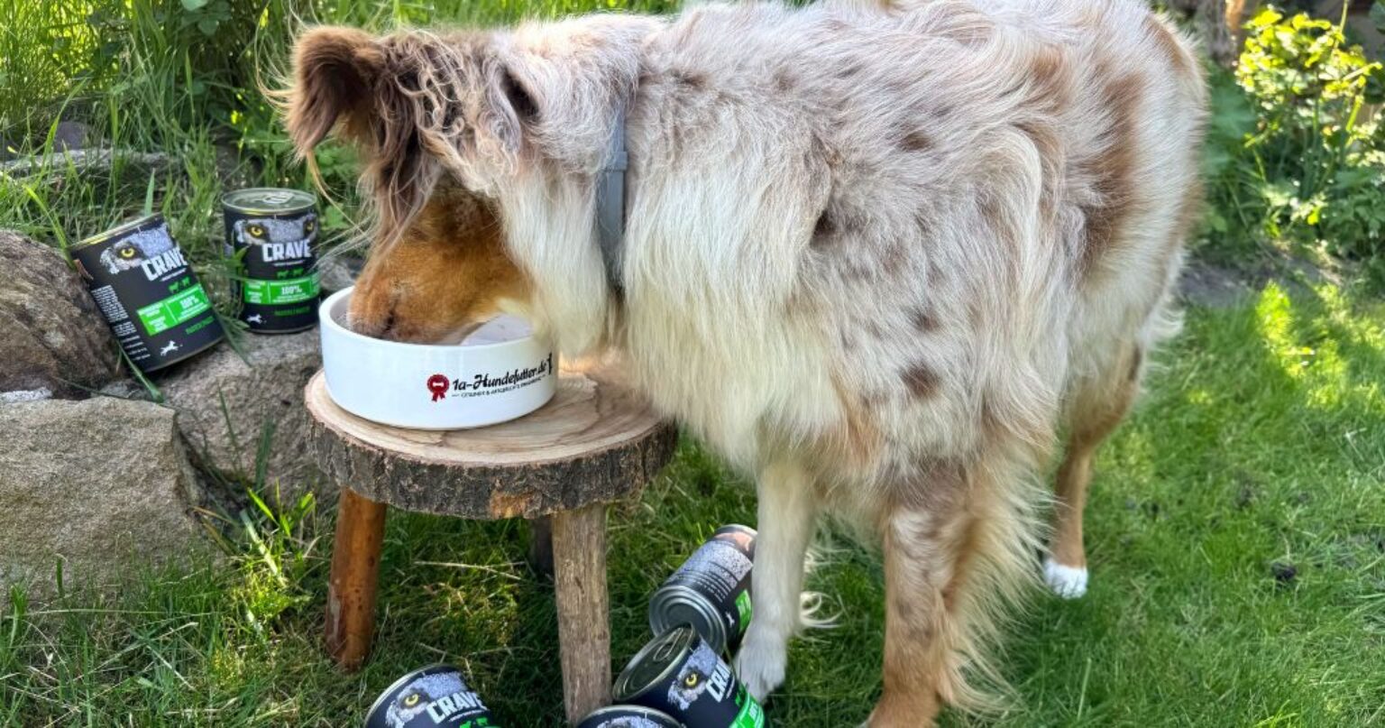 Testbericht: wie gut ist Crave Hundefutter?
