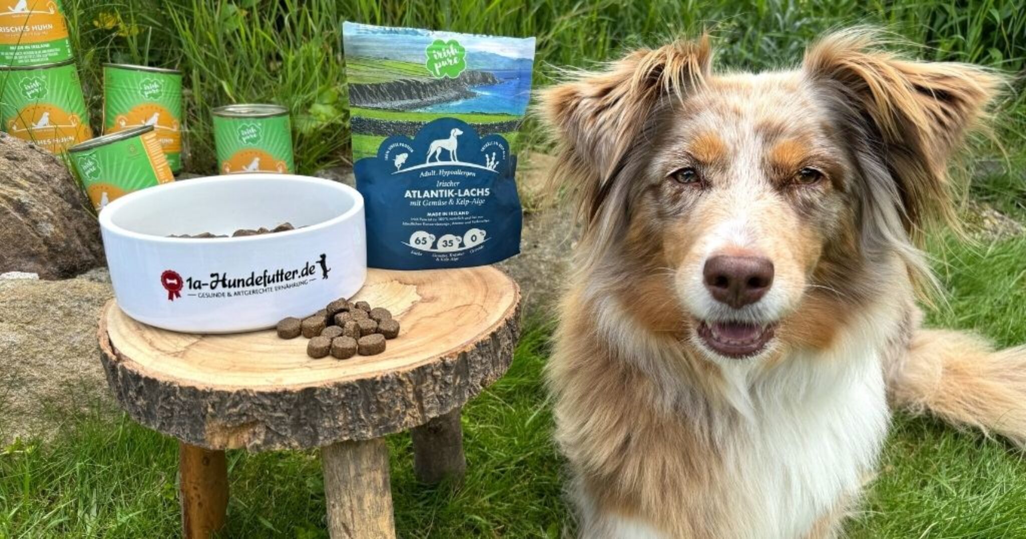 Irish Pure Hundefutter Test: unsere Erfahrungen 2025